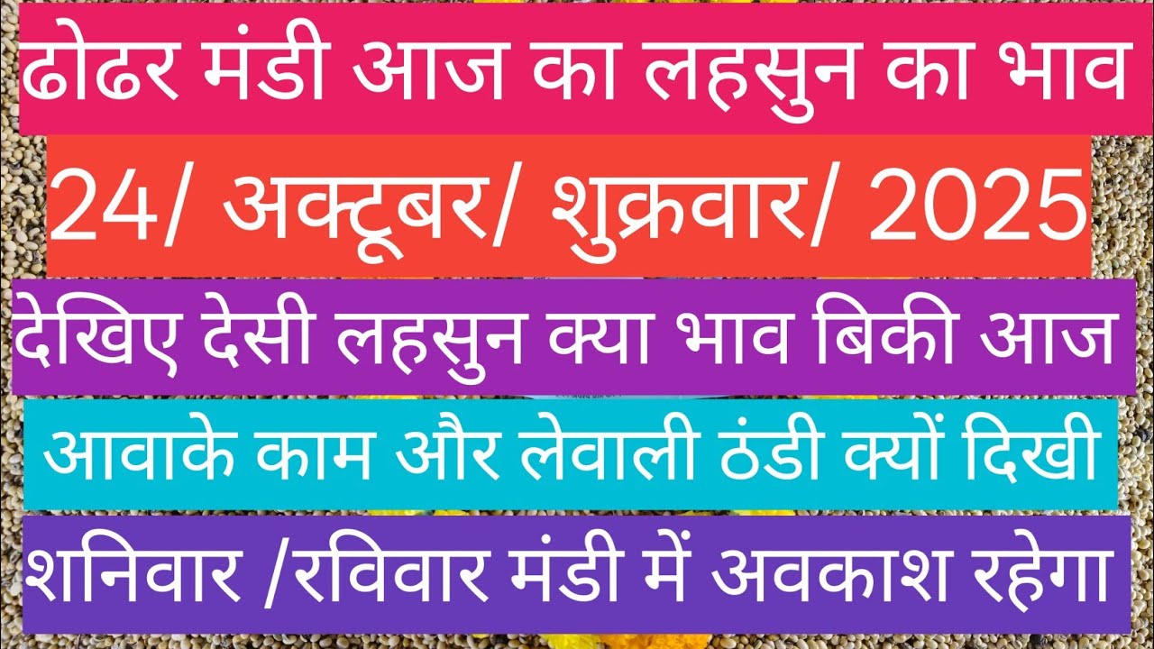 ढोढर मंडी आज का लहसुन का भाव // Dhodhar Mandi Aaj Ka Lahsun Ka Bhav ...