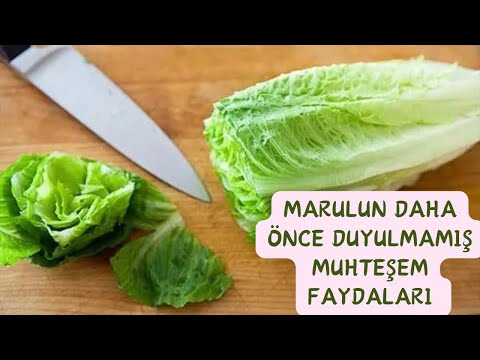 MARULUN FAYDALARI NELERDİR | MARUL NASIL SAKLANIR | MARUL GAZ YAPAR MI? | MARUL NASIL TÜKETİLİR