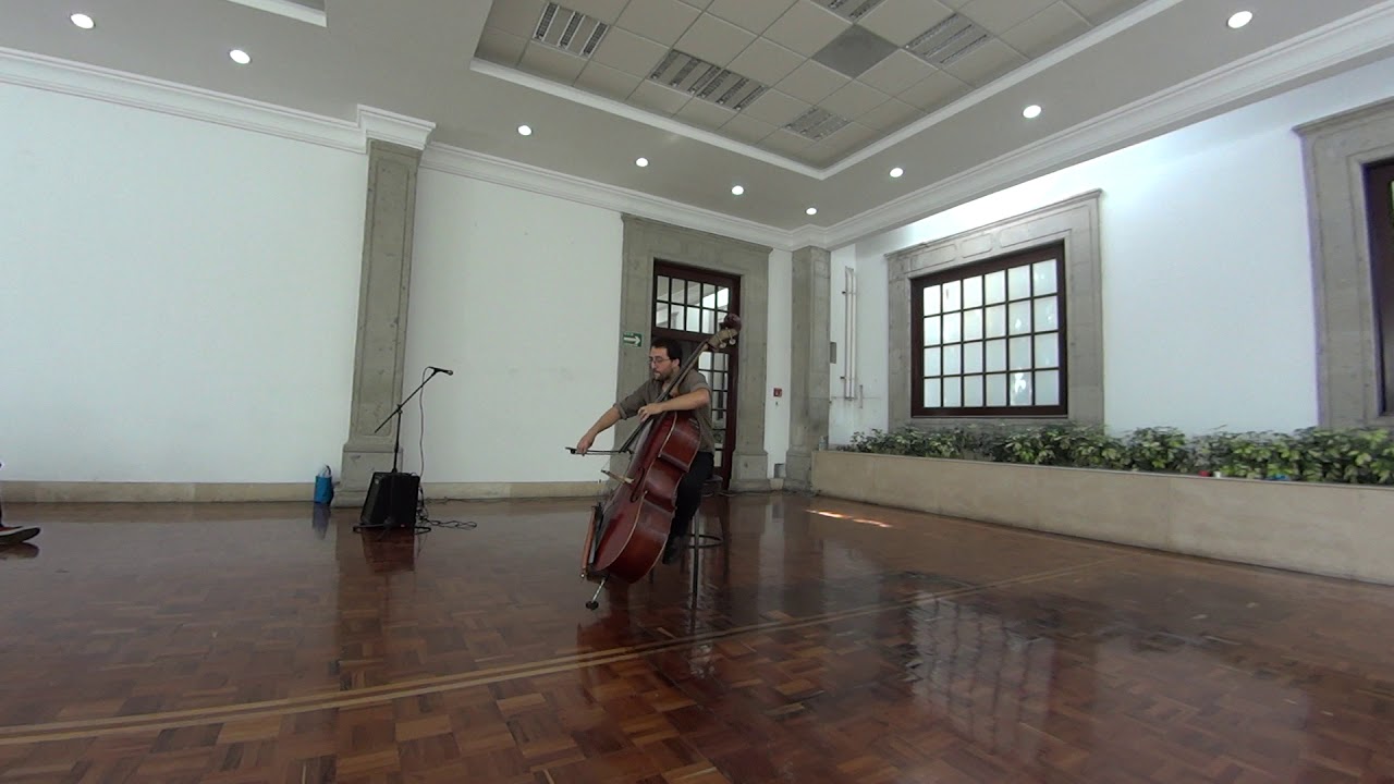 Johann Sebastian Bach - Suite for Chelo num. 1, Giga (Doublebass by ...