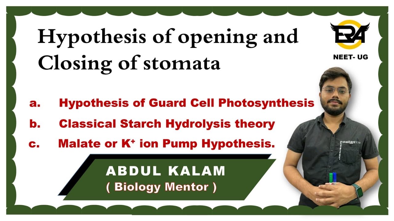 Hypothesis of opening and closing of stomata || Malate or k+ ion pump ...