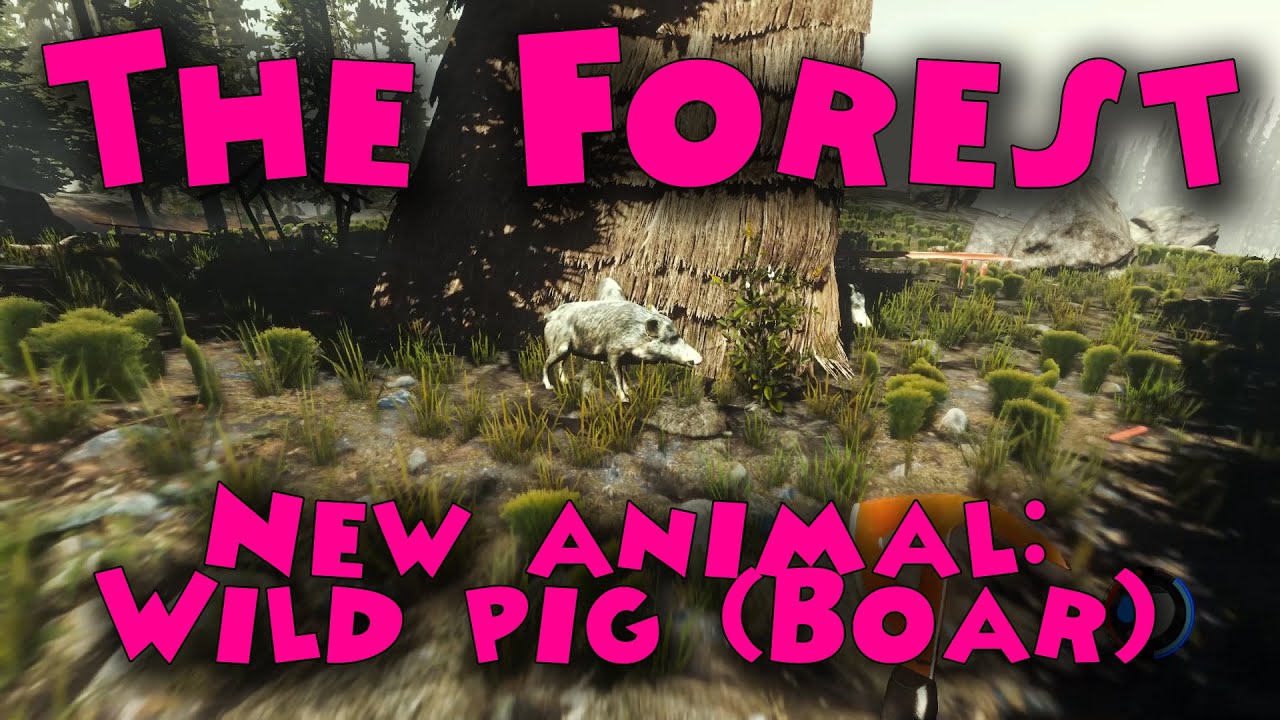 The Forest - New animal: Wild pig (Boar) - YouTube