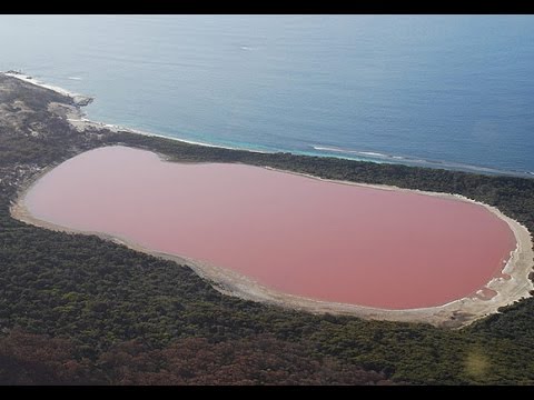 El lago rosa de Australia. - YouTube