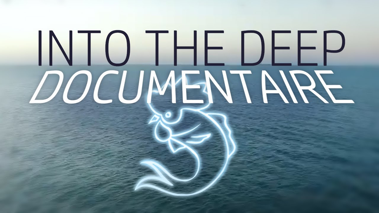 Into the Deep documentary (Dutch) | Hybrid Kip - YouTube