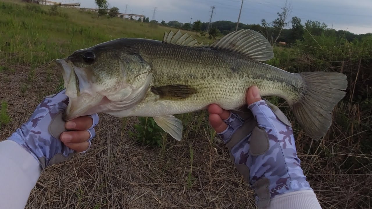 The fish didn't stop biting (bass fishing) - YouTube