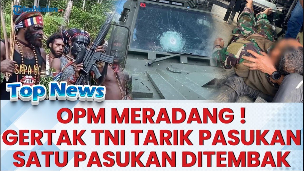 🔴 OPM MERADANG Klaim Tembak Prajurit TNI di Intan Jaya Papua, Bentuk ...