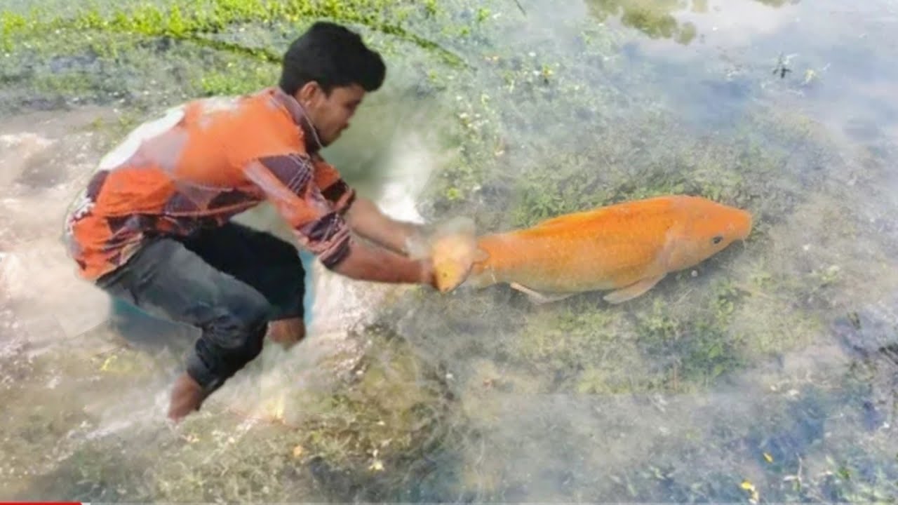 Amazing Hand Fishing-traditional boy catching hand fishing - best hand ...