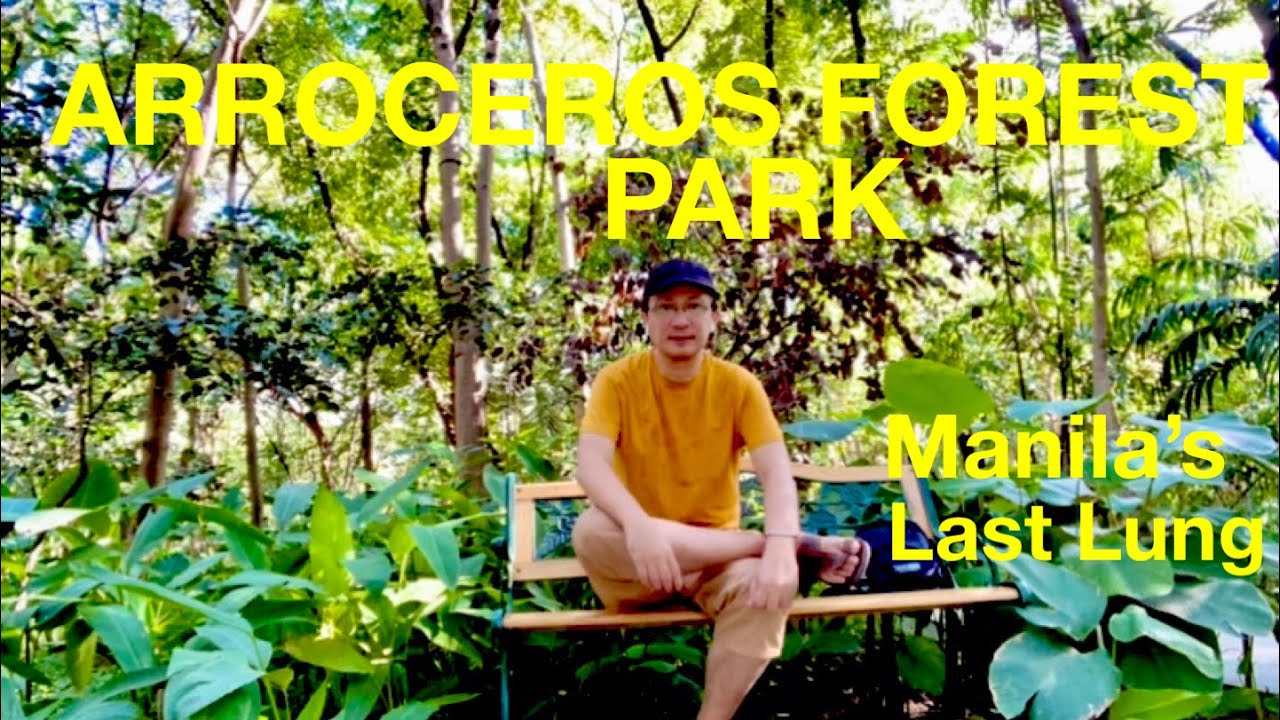ARROCEROS FOREST PARK MANILA - YouTube