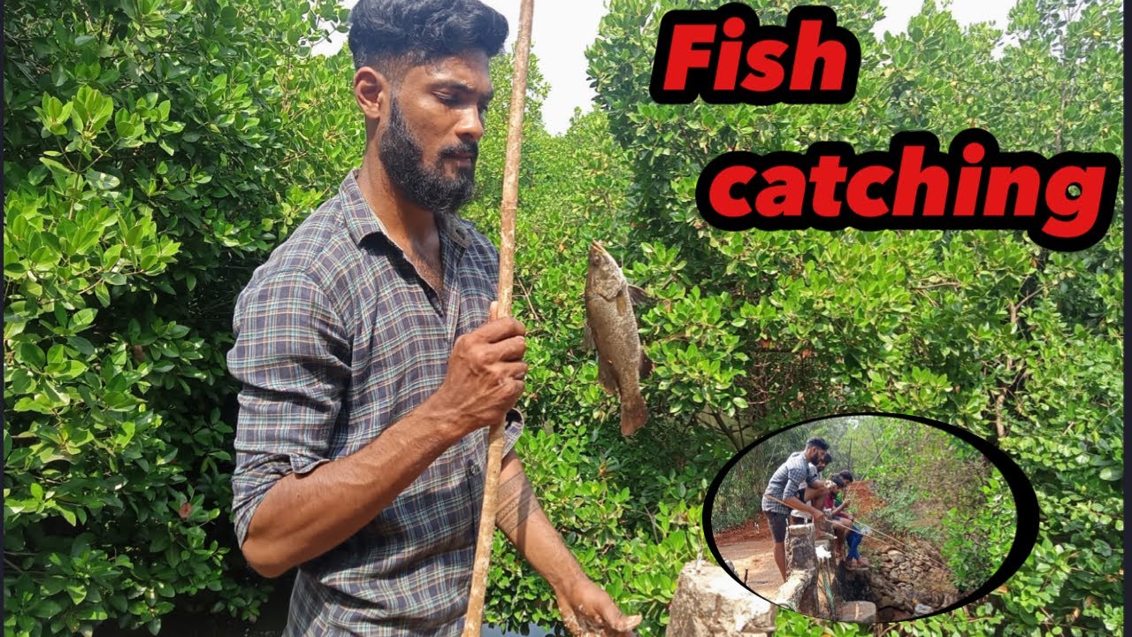 fish catching | fish in hand | fish catching in rever|fish catch by ...