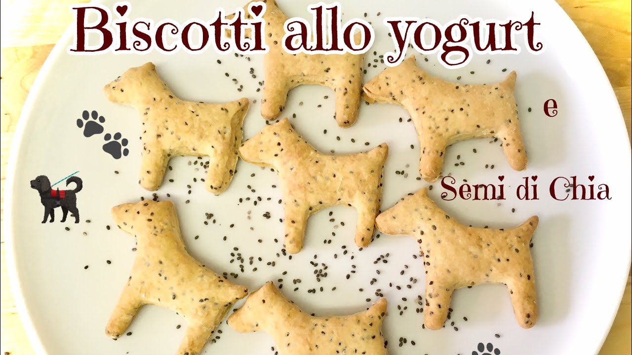 Biscotti per cani allo Yogurt e semi di Chia-Biscuits for dogs with ...