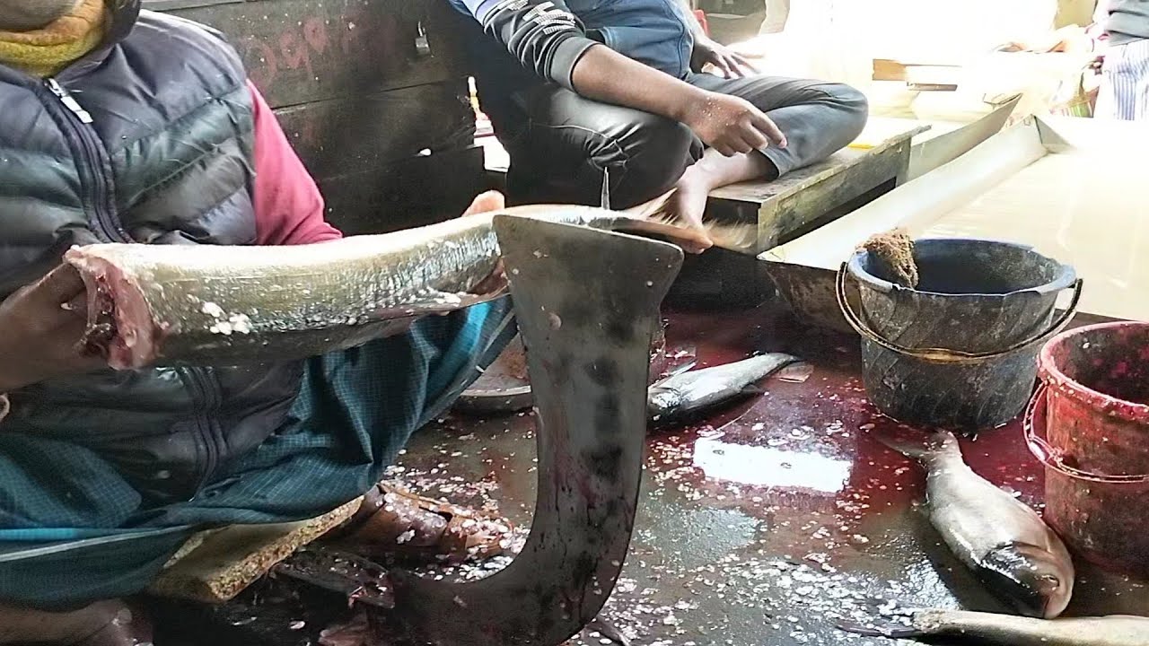 2kg Size Big Ilish Fish Cutting | Expert Fish Cutter | Amazing Fish ...