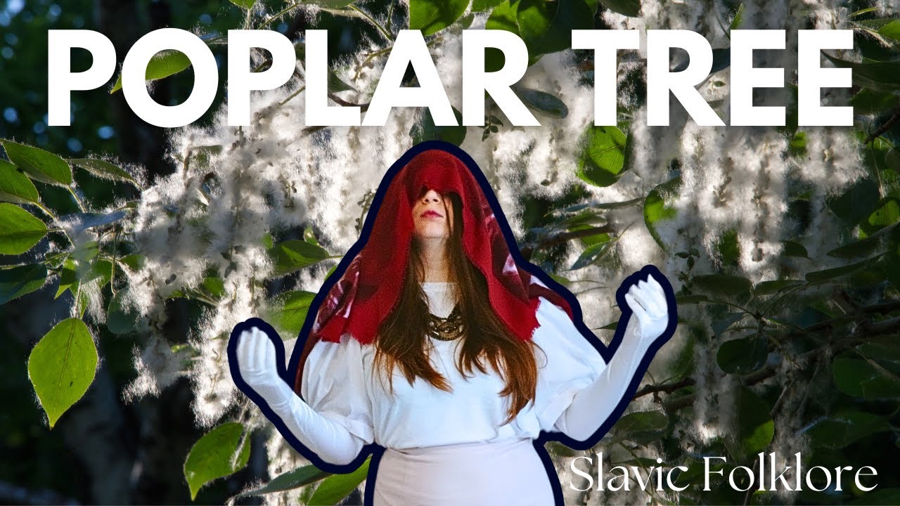 A Poplar Tree's Symbolism in Slavic Folklore - YouTube