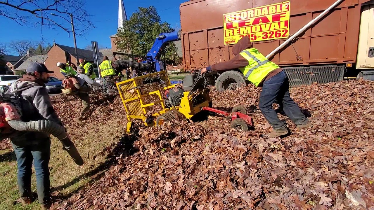 Curb Side Clean Up GrassMasters - YouTube