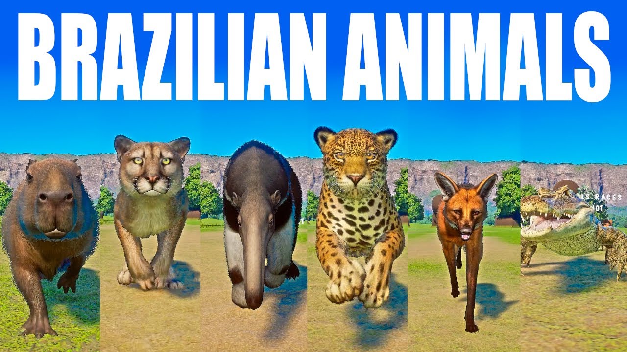 Brazilian Animals Speed Races in Planet Zoo included Cougar, Anteater ...