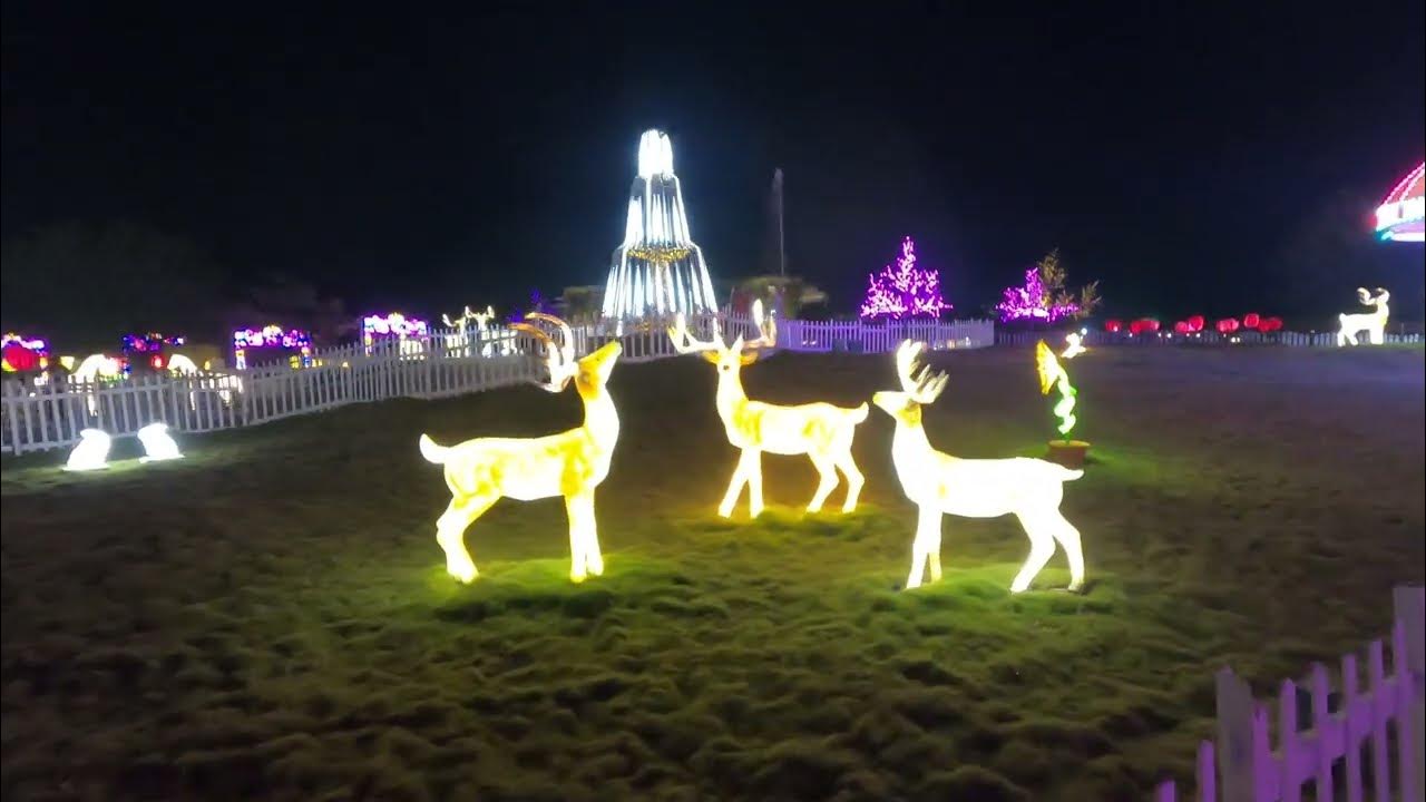 Unity Glow Garden, Statue of Unity, Kevadia, Gujarat, India - YouTube