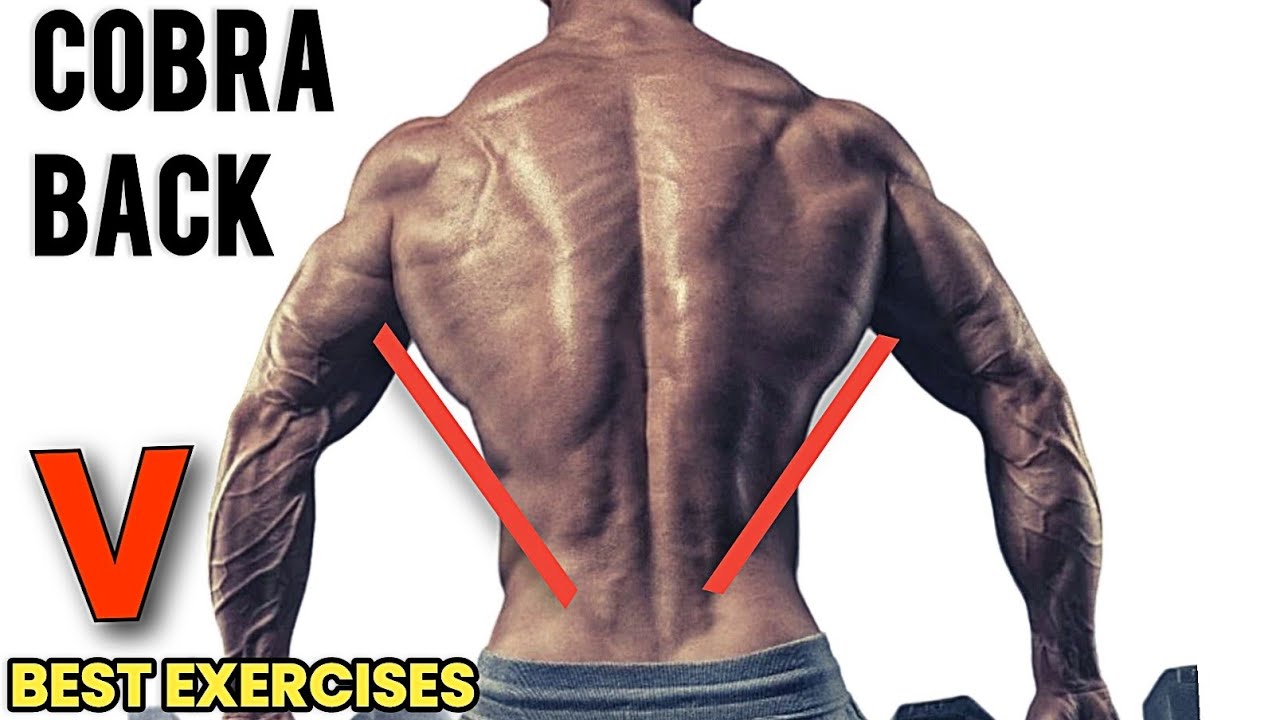 Best Back Exercises To Build Big Back Muscle | Back Workout At Gym ...