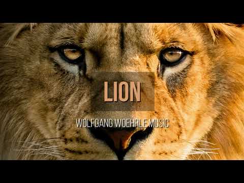 LION - Epic Orchestral Music by Wolfgang Woehrle