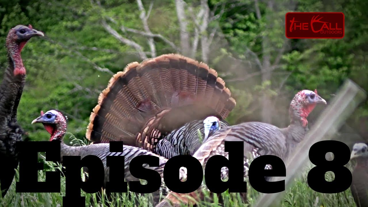 episode 8 I needed one warm up! PA Spring Turkey Hunting - YouTube