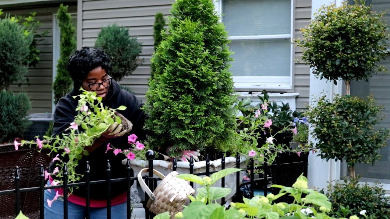 Summer Containers & $ Saving Tips and Tricks - YouTube