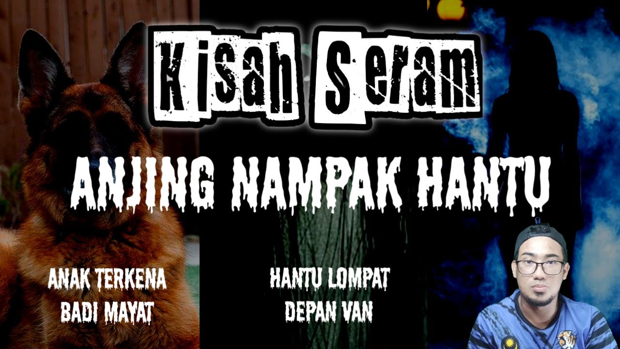 Kisah Seram Anjing Nampak Hantu | Anak Terkena Badi Mayat | Hantu ...