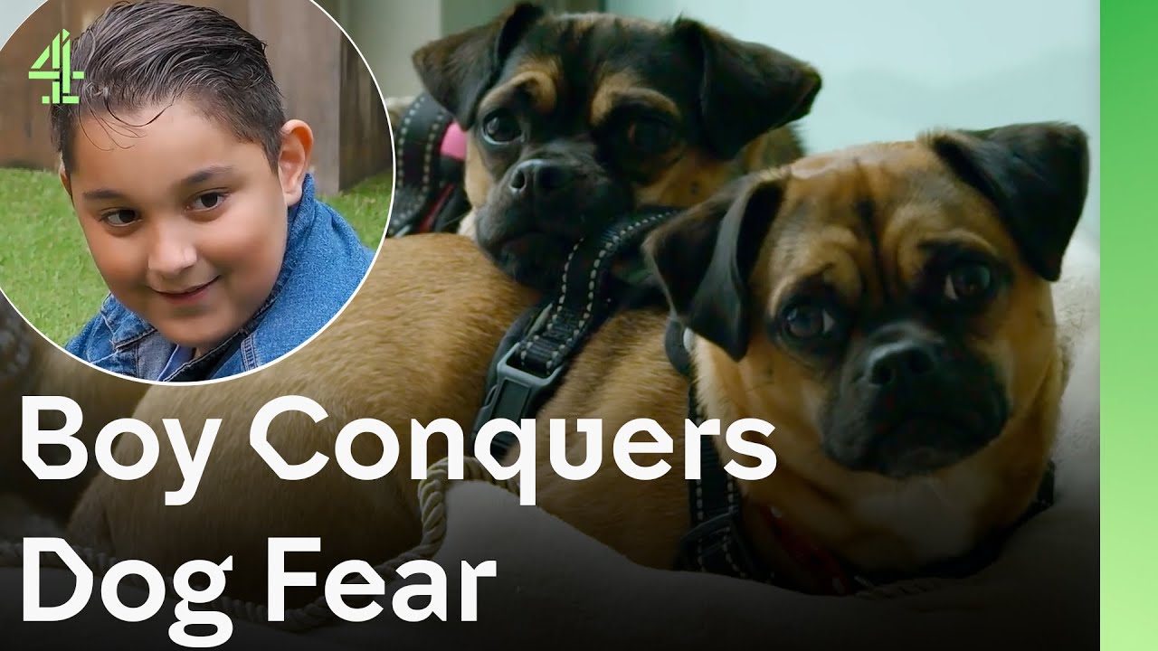 Lonely boy overcomes fear of dogs | The Dog House 🐶 | Dog Stories - YouTube