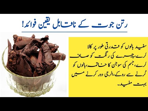 A power herb Alkanat Root |how to use ratanjot | Banefits of Alkanet ...