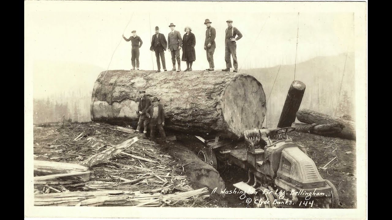 Giant Log Bellingham WA - YouTube