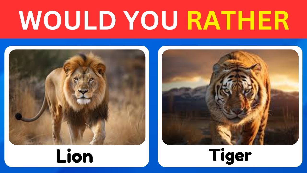 Would You Rather....? | Animals Edition! 🐯🦁🦊 | Knowledge#56 - YouTube