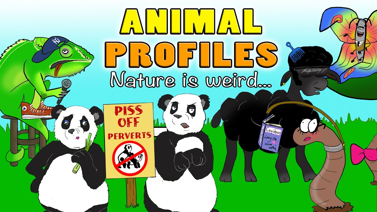 Animal Profiles - Animated Comedy Show Episode 1 - YouTube