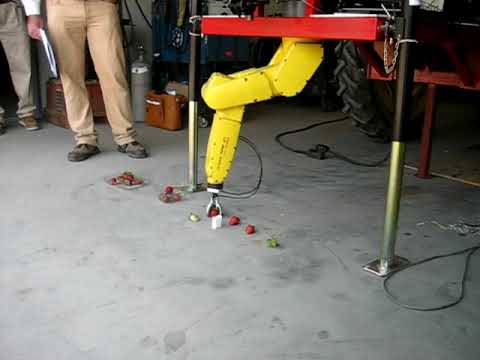 Strawberry Harvesting Robot Video - YouTube