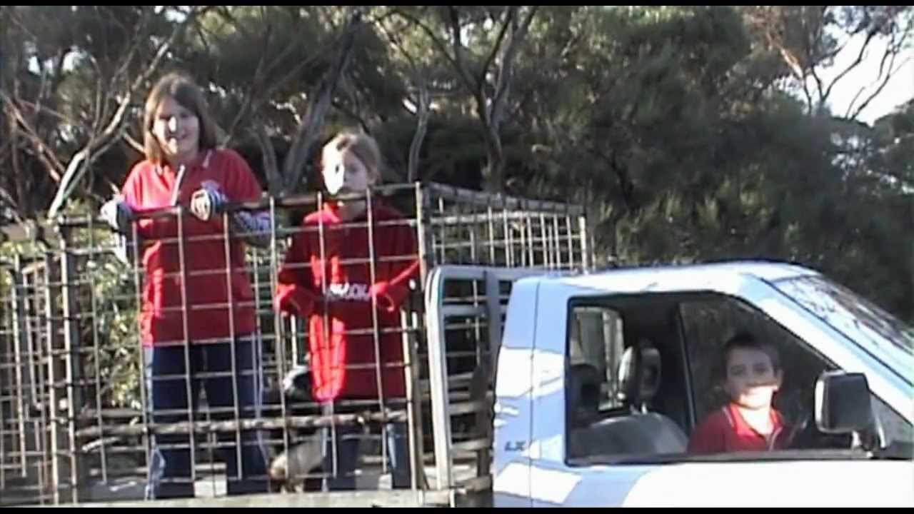 Carribie (Warooka Primary School) - YouTube