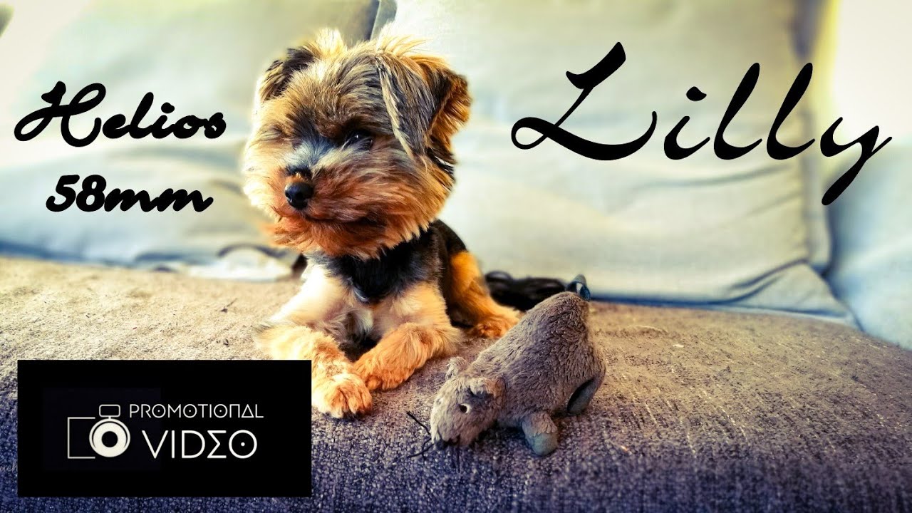 Short film Lilly #Helios 58mm f2.0# - YouTube