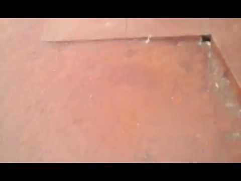 Mostrando o meu pinto 😜