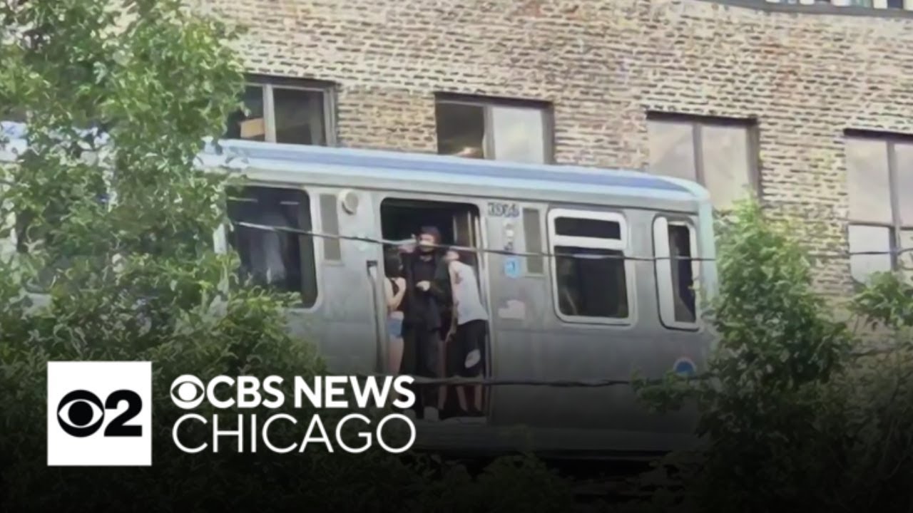 Fire under train halts Chicago Transit Authority's Brown Line during ...