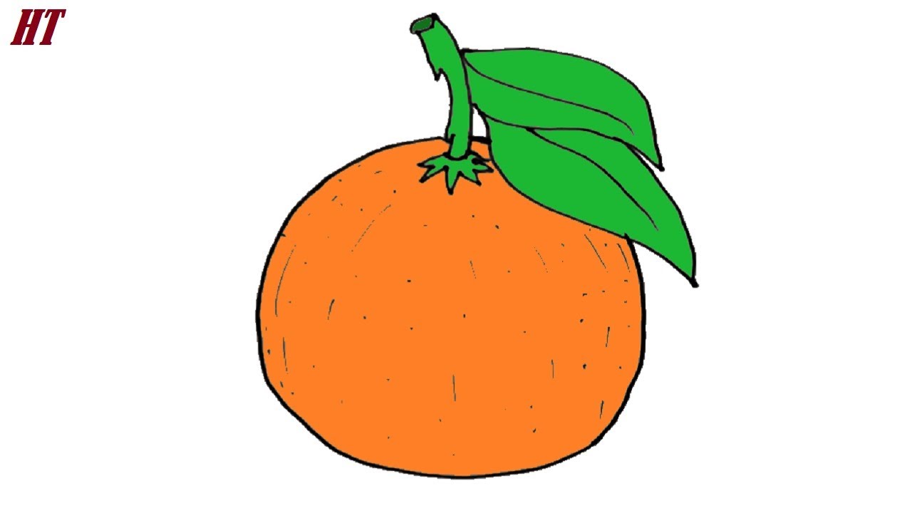 How to Draw a Tangerine Easy - YouTube