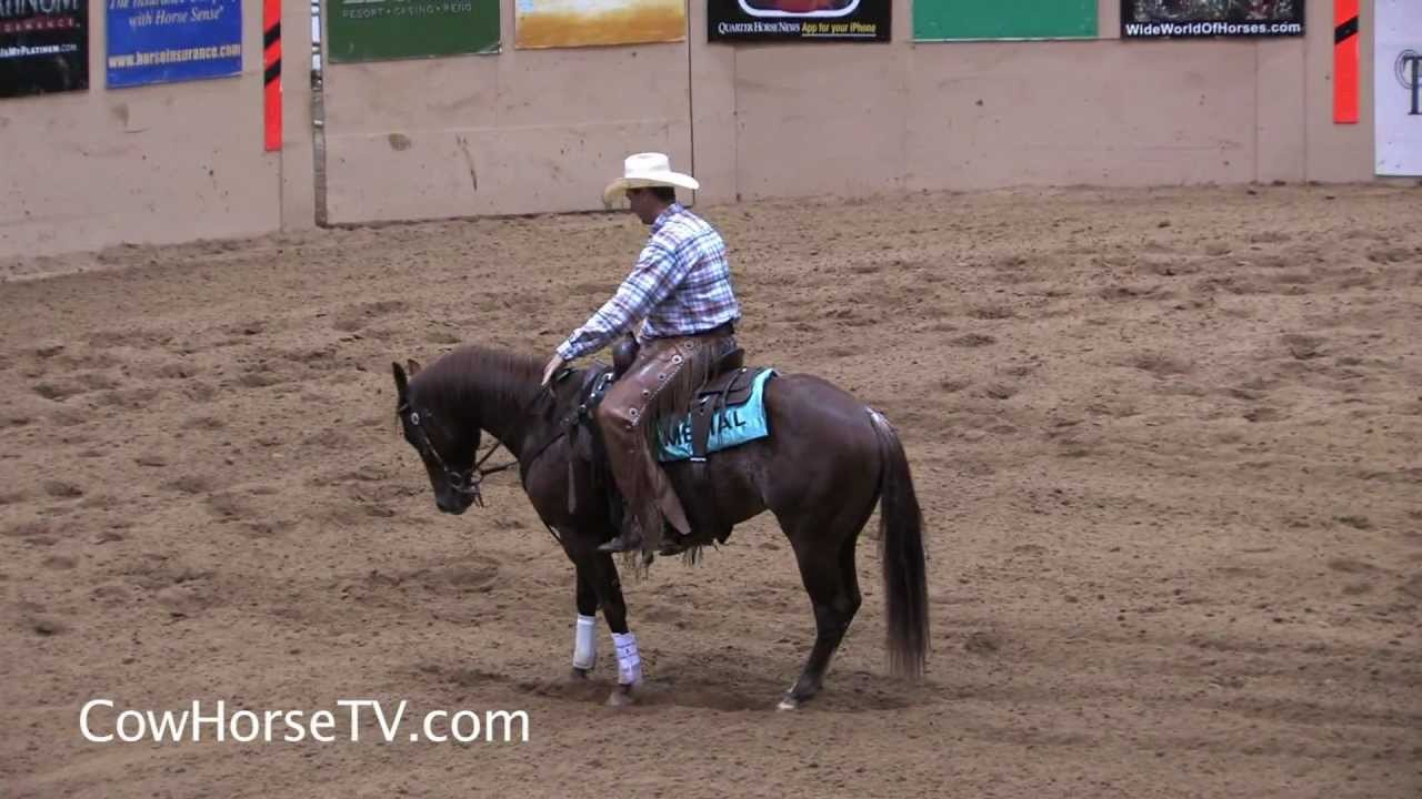 Luke Jones: Advice for New Cow Horse Trainers - YouTube