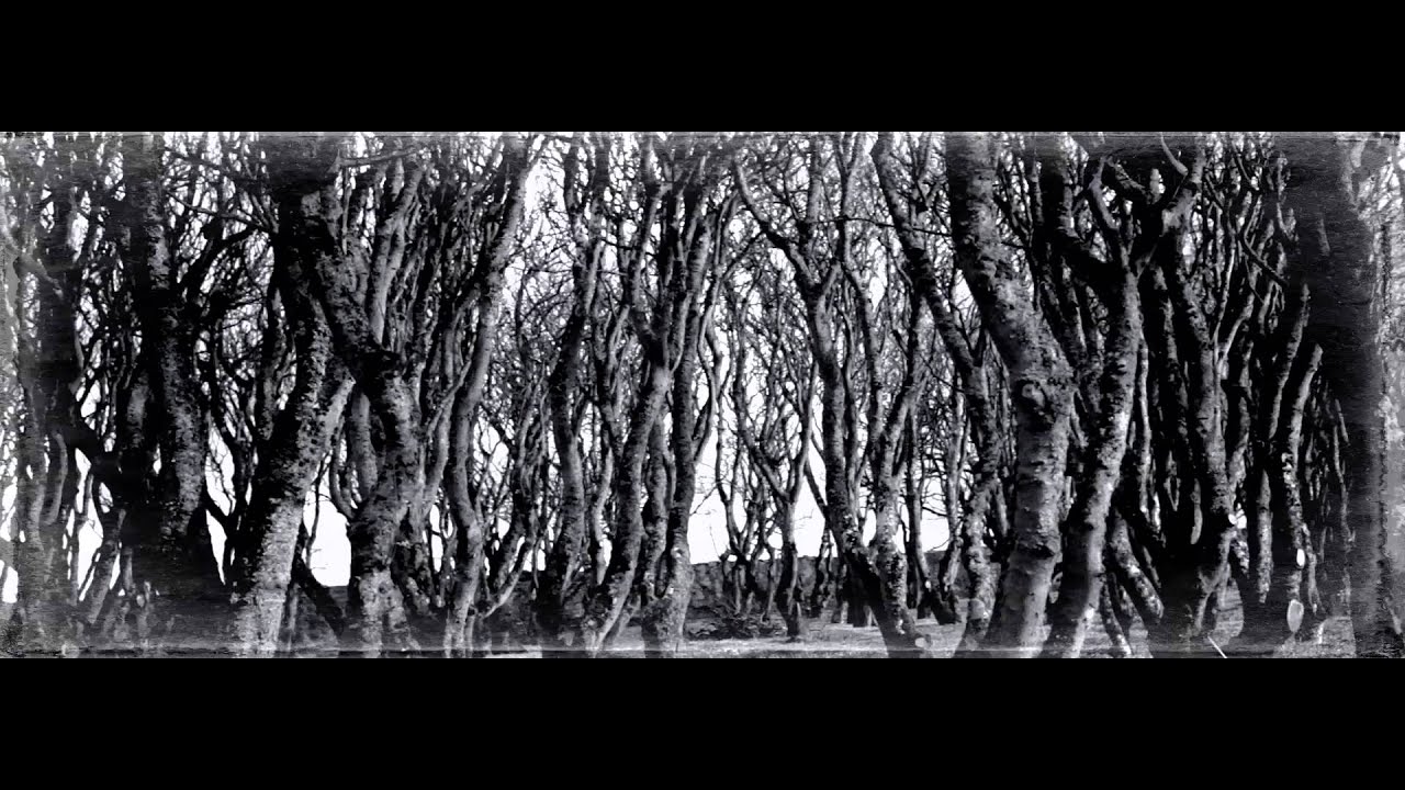 O'Neill CWC - Trailer 2011 - YouTube