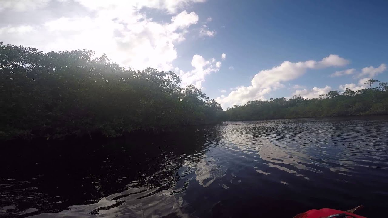 Kayaking Through Key Largo North Creek - YouTube