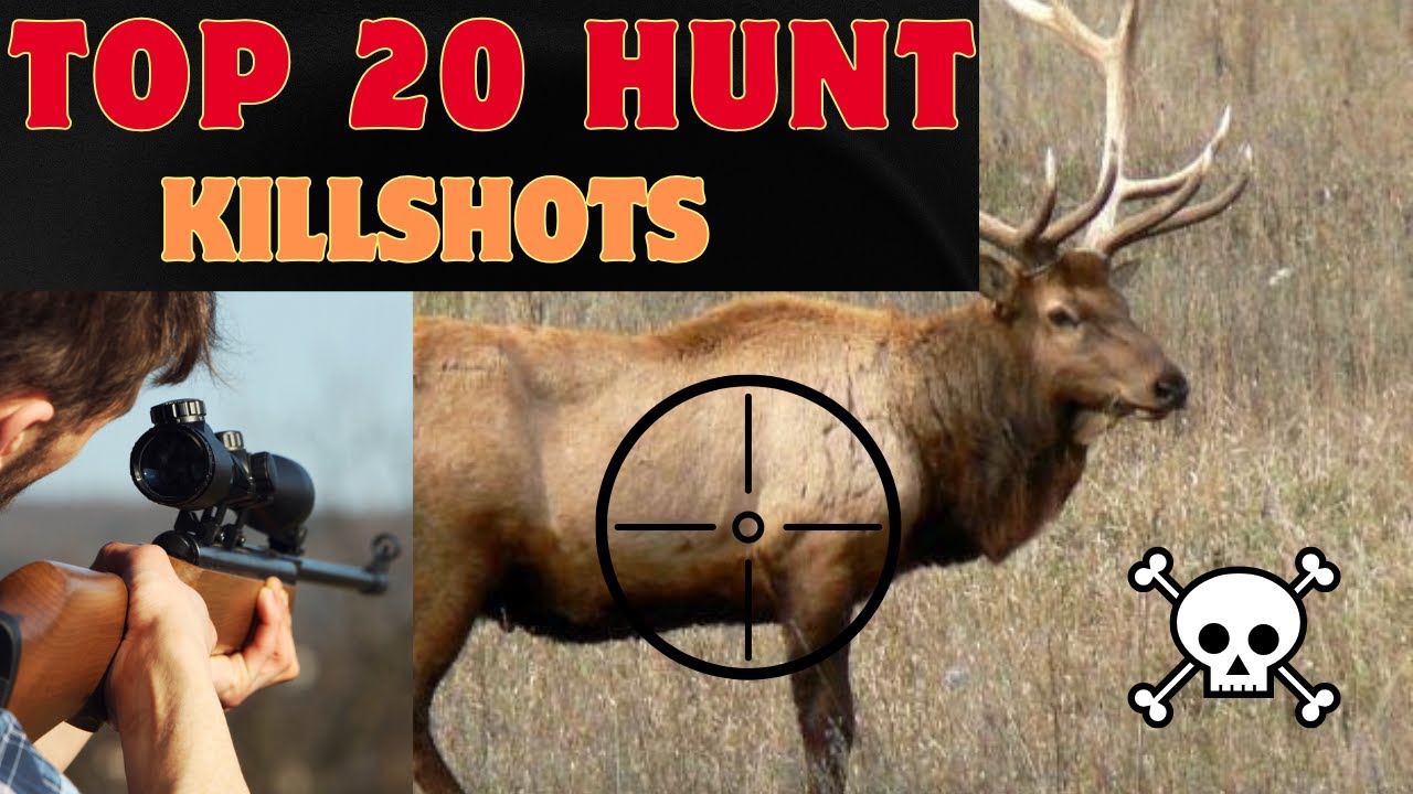 BEST HUNTING KILL SHOTS in 13 MINUTES - YouTube