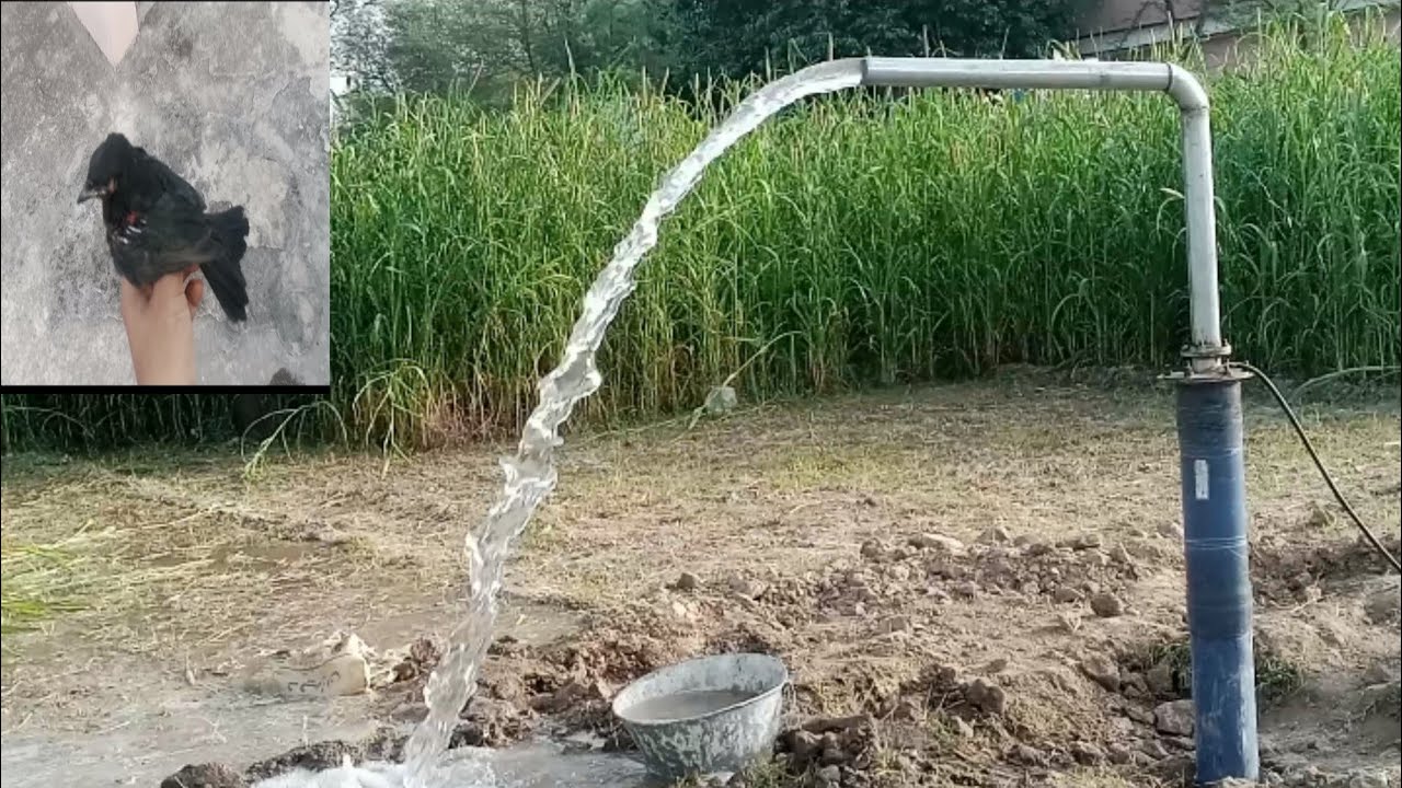 aj pani wali motar lag ge or jangle perende ki gan bache - YouTube