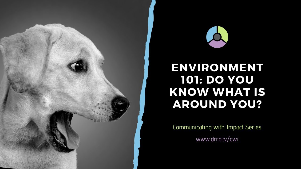Environment 101: Do you know what is around you? - YouTube