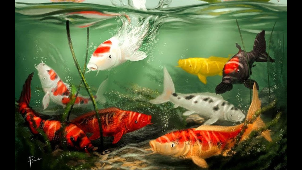 The Most Amazing Indoor Koi TANK With Fish *DIY Part 1 - YouTube