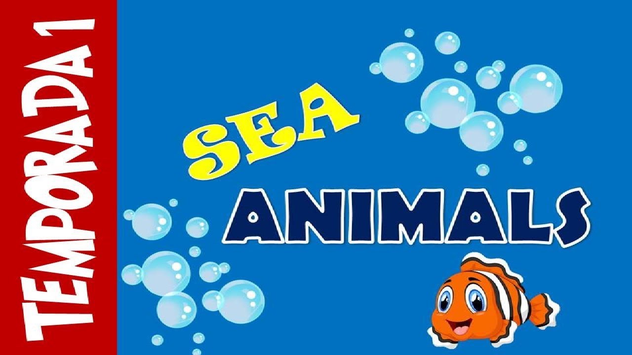Sea Animals. Animales marinos en Inglés. - YouTube