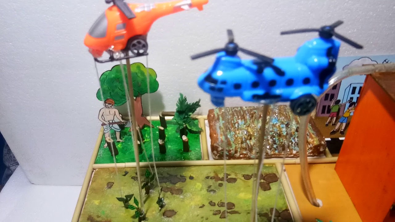 Afforestation And Deforestation Models