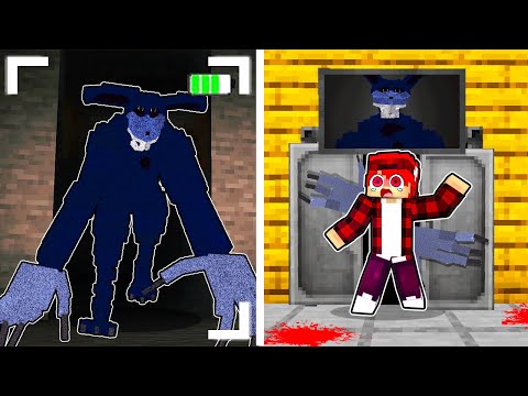 Hachi 24 Giờ Bị Thỏ Máy Sát Nhân Truy Đuổi