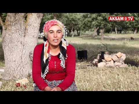 Binlerce Yıllık Gelenek: Yörükler Yayla Yolunda