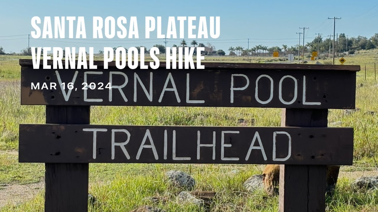 Santa Rosa Plateau: Vernal Pools Hike - YouTube