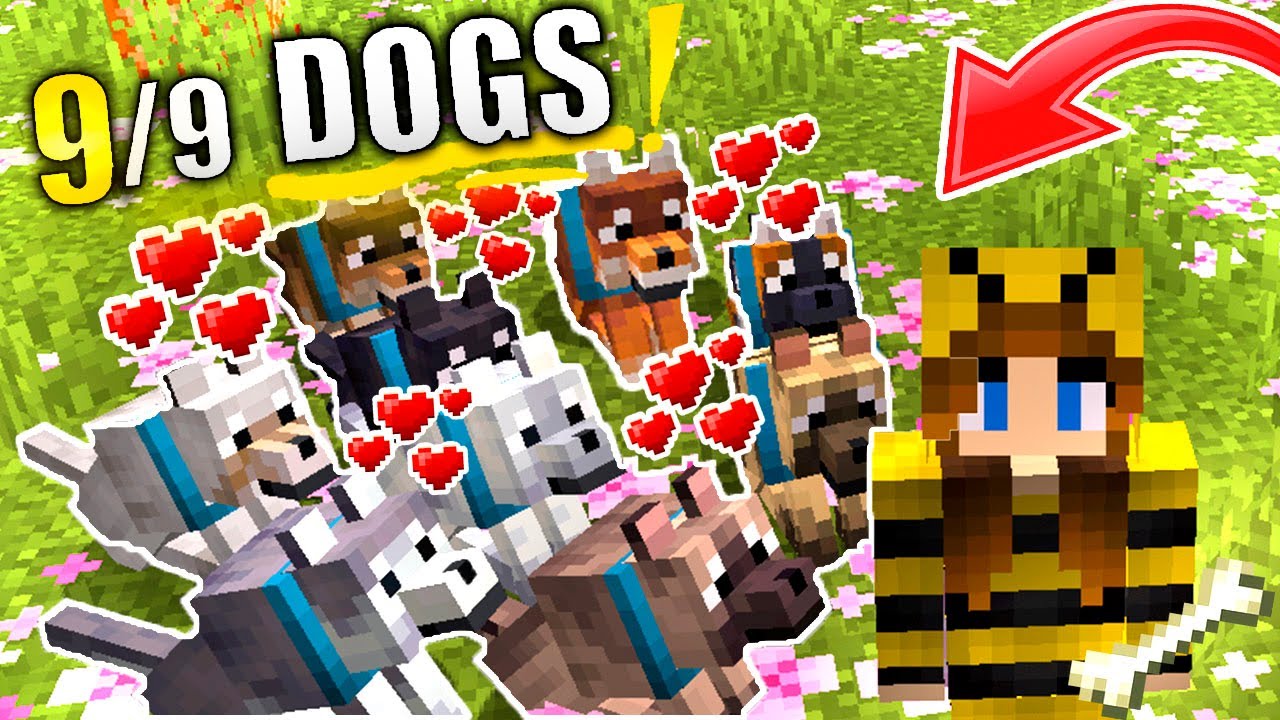 I FINALLY collected EVERY Minecraft Wolf Variant in 1.21 - YouTube