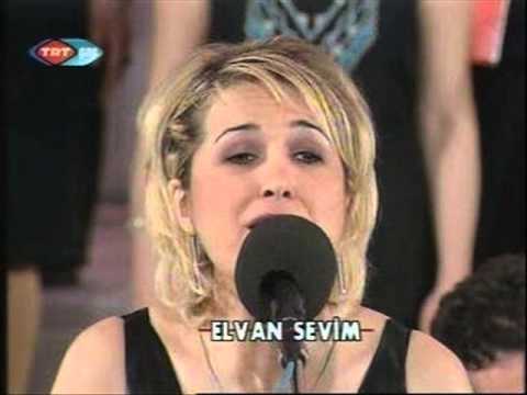 Elvan Sevim - Ben Giderim Oduna