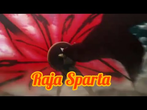 Lancer Leonidas Vs Avenger Gorgon Full Fight - YouTube