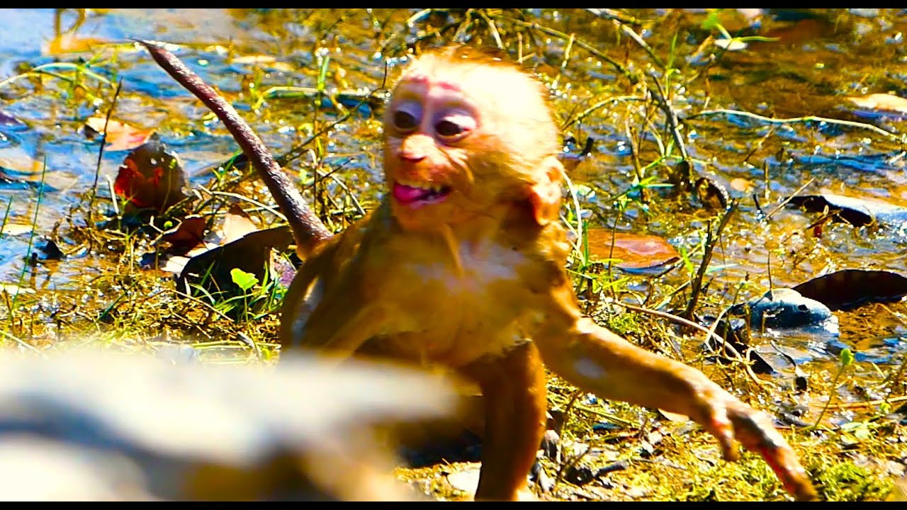 S-cared Facial Of LEO Screaming L0udly To Mom To Go Away From Him While ...